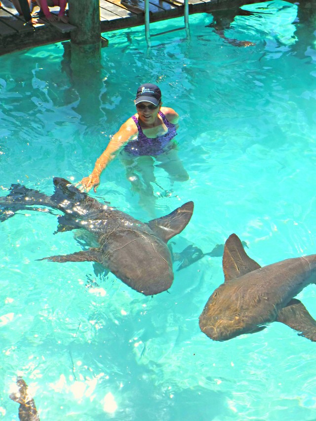 Discovering the Bahamas with Blount Small Ship Adventures | Activities ...